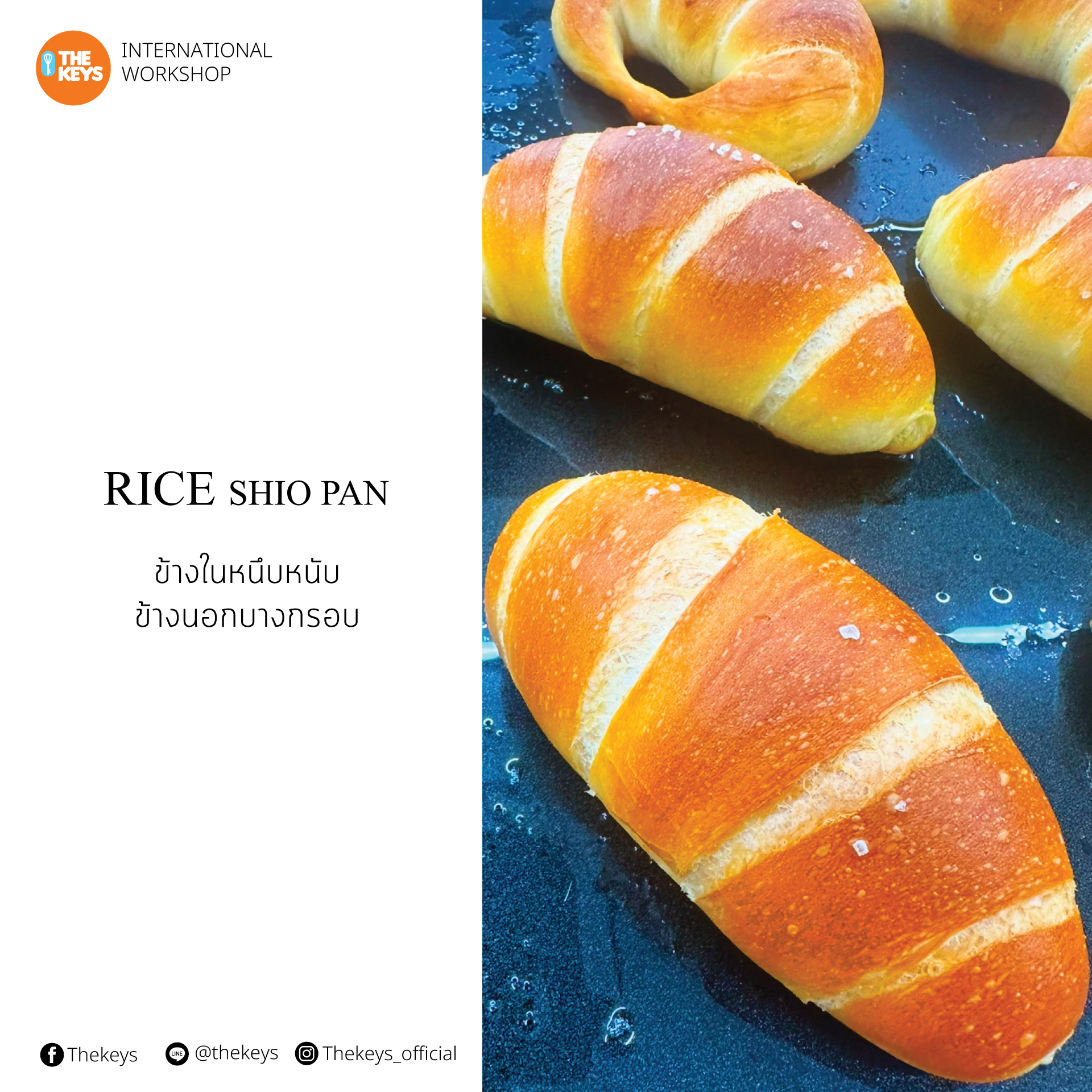 Shio Pan - PBA WORLD